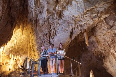 Auckland: Caves & Kiwi: The Waitomo Expertise – Goodtourchannel.com